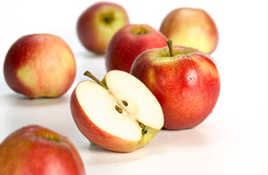 Apfel-Mix, 2,5kg - Weidenhof